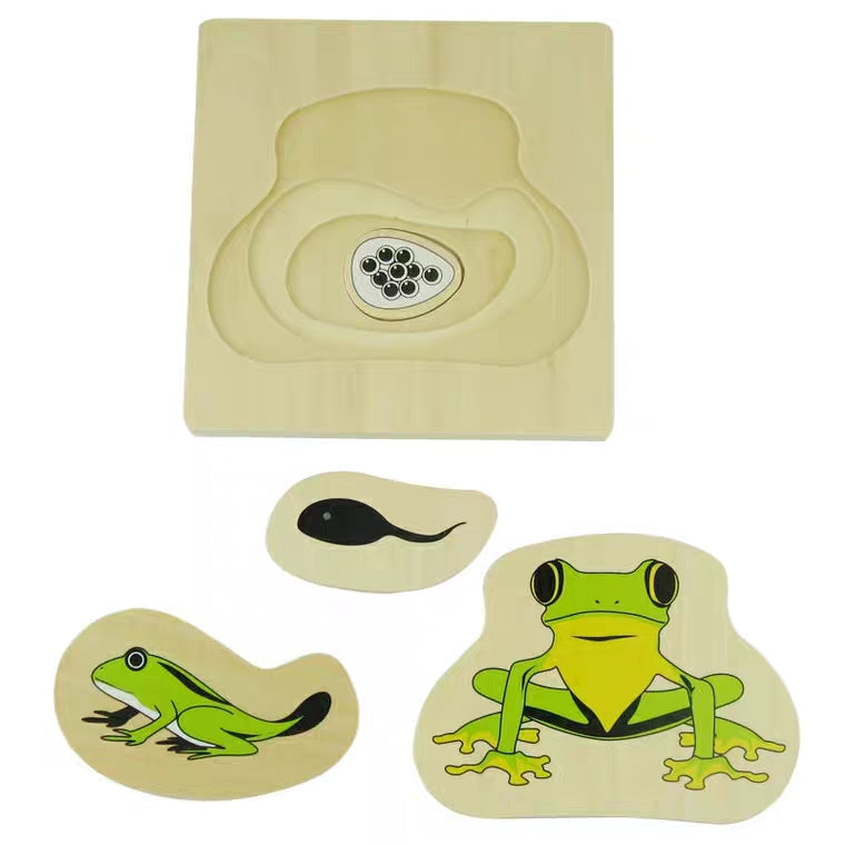 Montessori Nesting Life Cycle Puzzle (Frog) – lovinglyyoursg