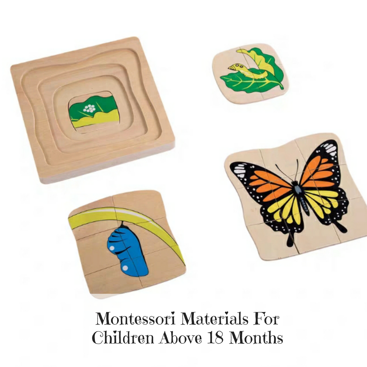 [Ready Stock] Montessori Nesting Life Cycle Puzzle (Butterfly ...