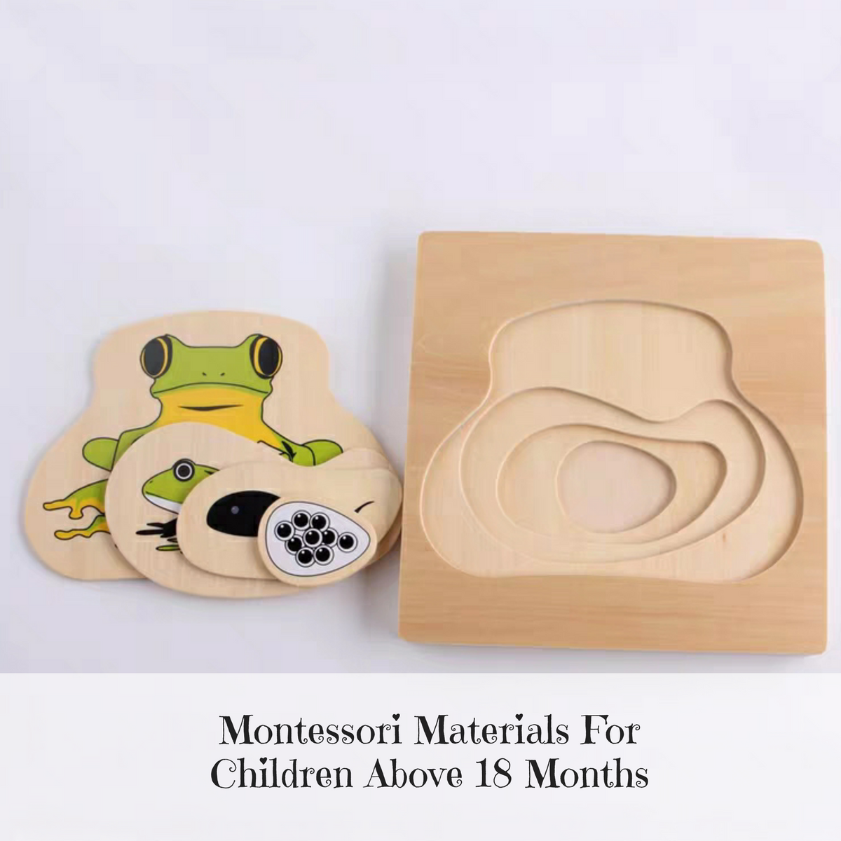 Montessori Nesting Life Cycle Puzzle (Frog) – lovinglyyoursg